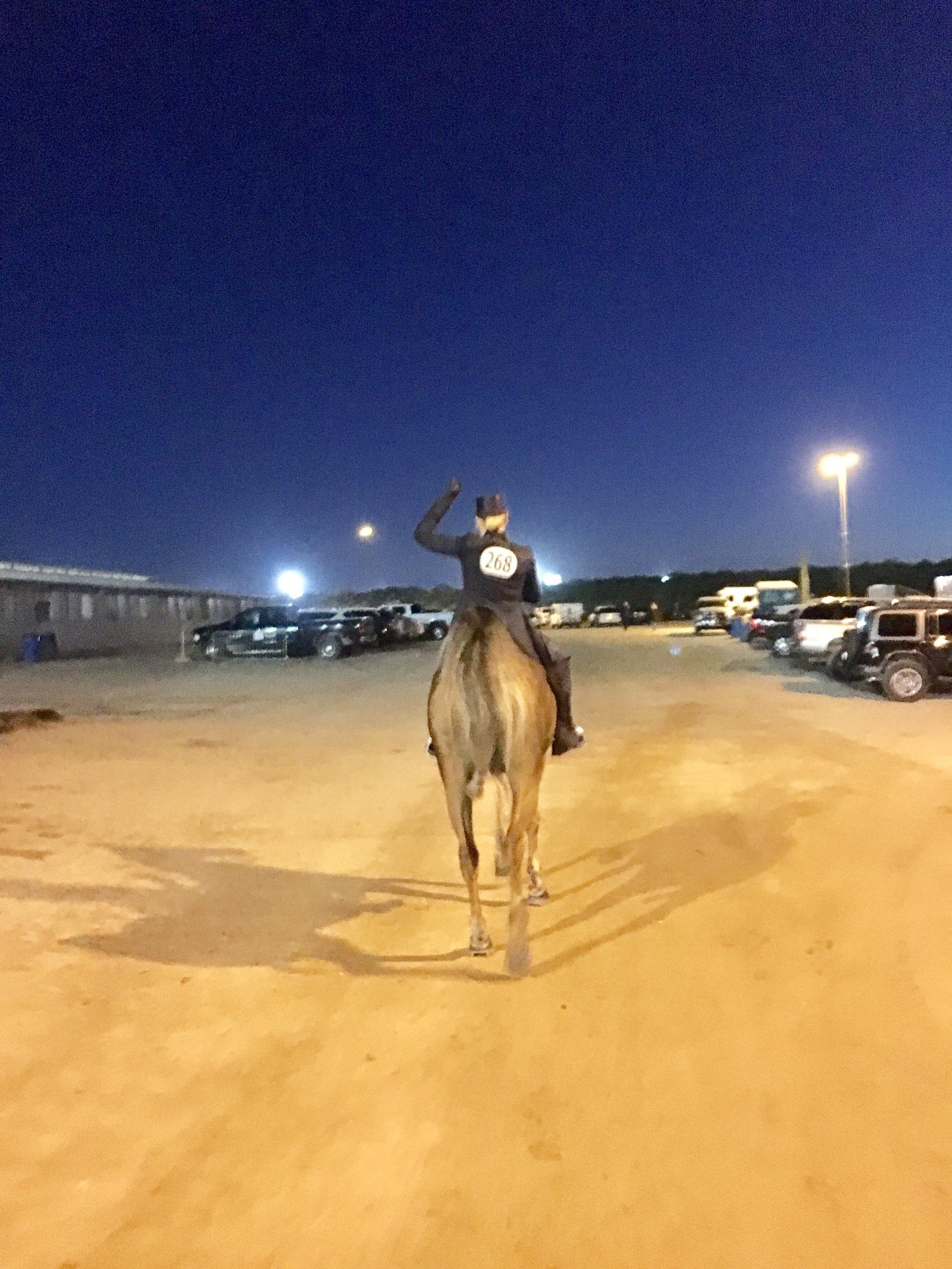 Cherry Stables – Cherry Stables specializing in the training and ...