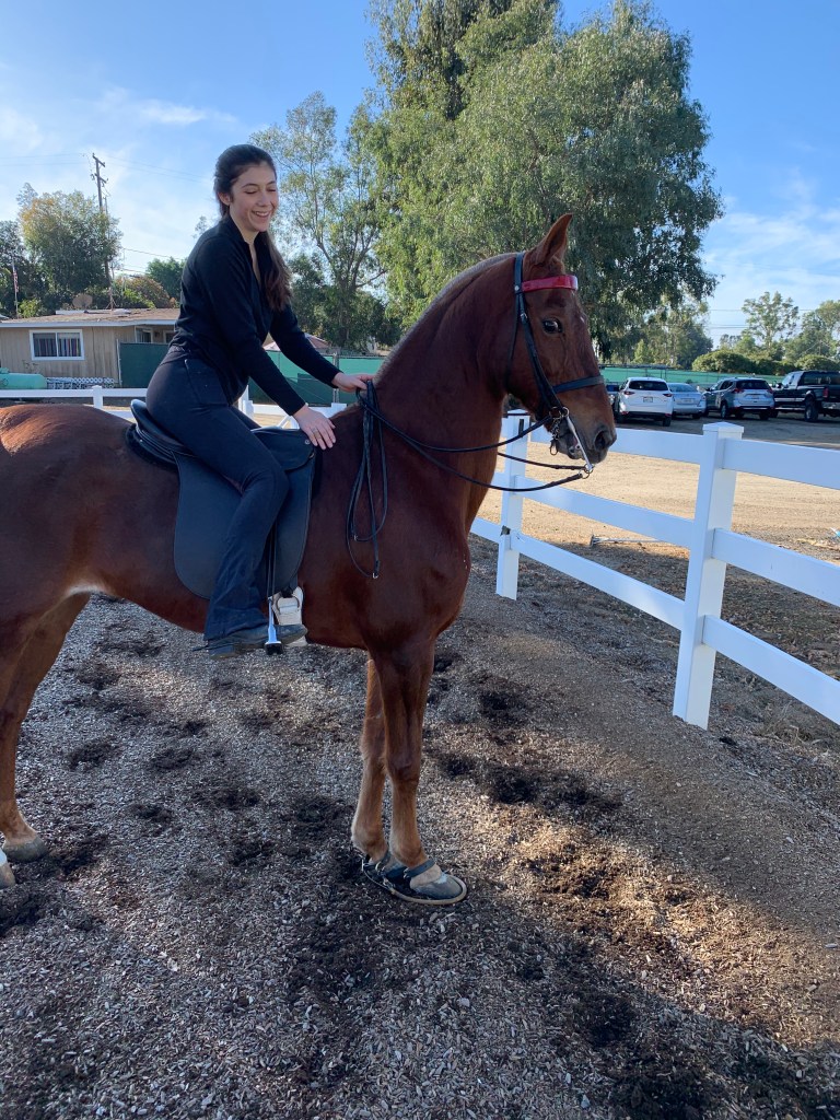 Cherry Stables – Cherry Stables specializing in the training and ...
