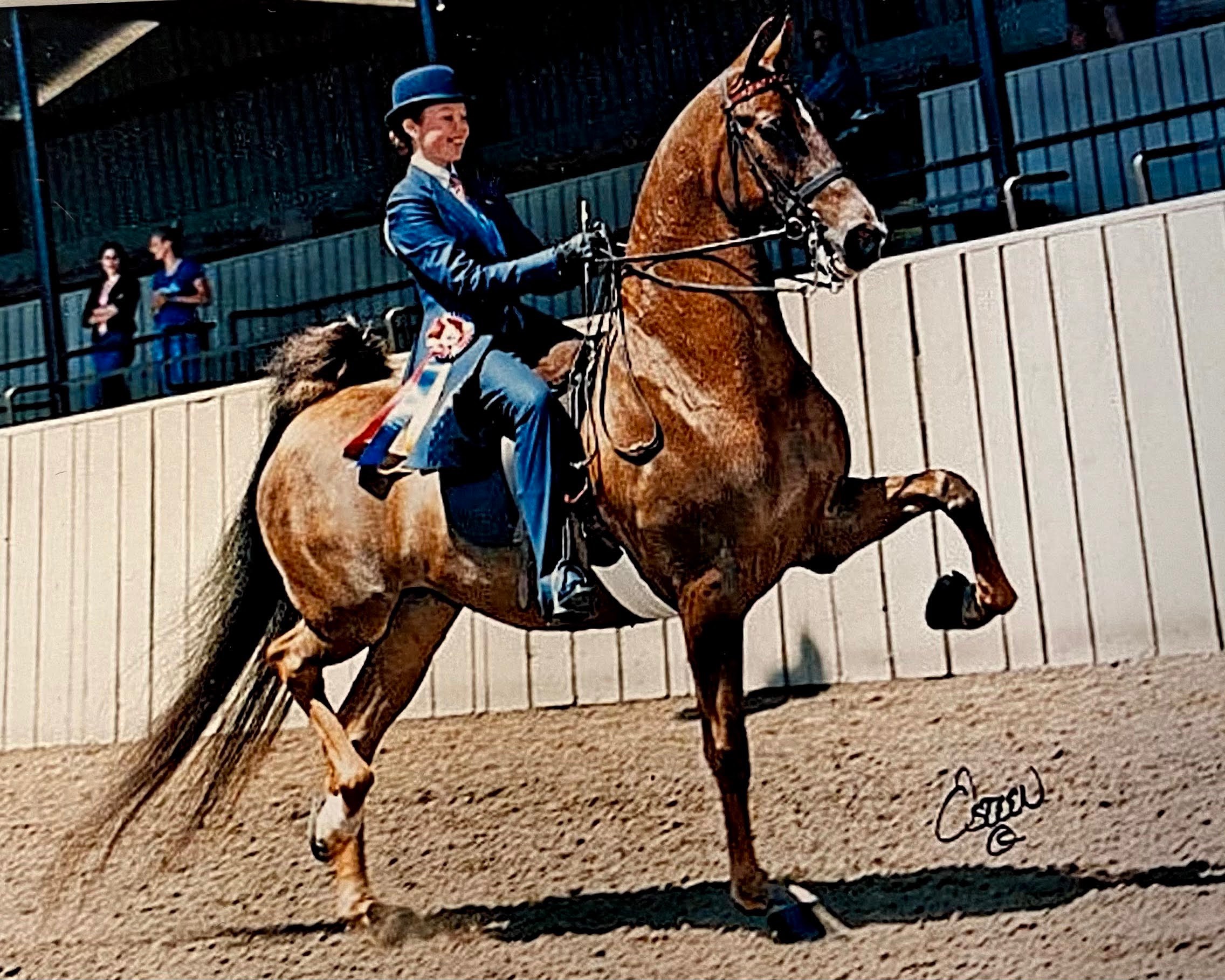 Past and Present Champions – Cherry Stables