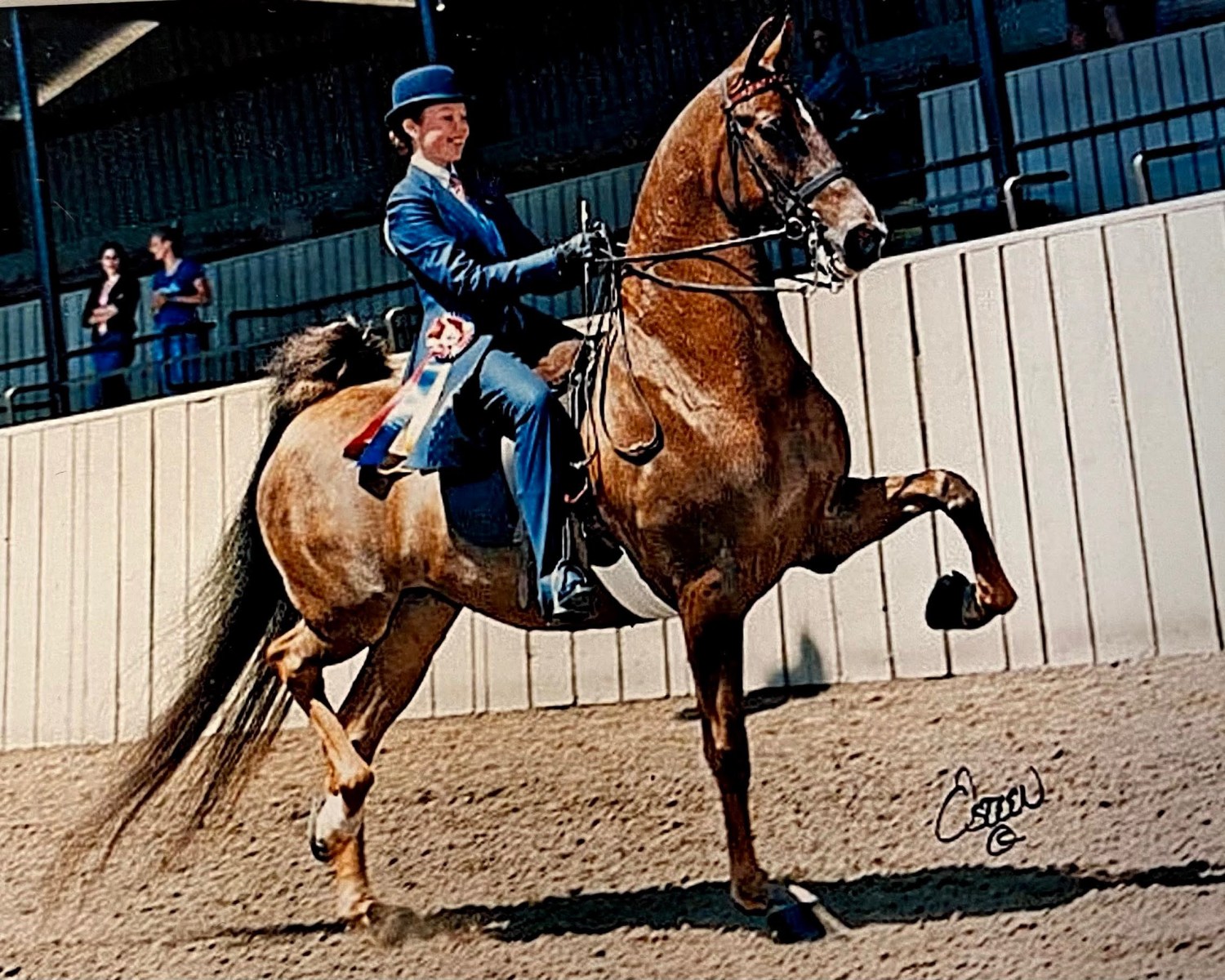 Cherry Stables – Cherry Stables specializing in the training and ...