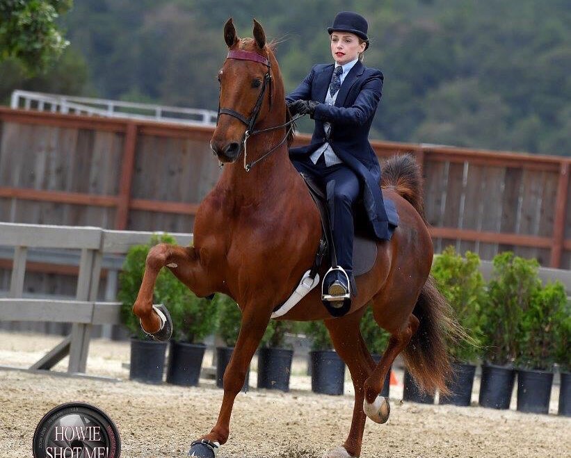Cherry Stables – Cherry Stables specializing in the training and ...