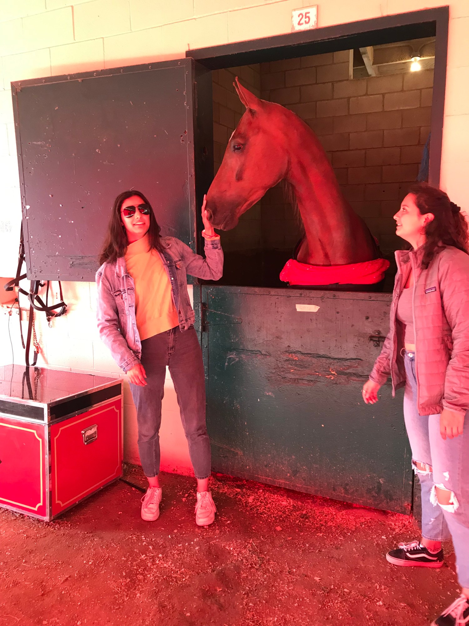 Cherry Stables – Cherry Stables specializing in the training and ...