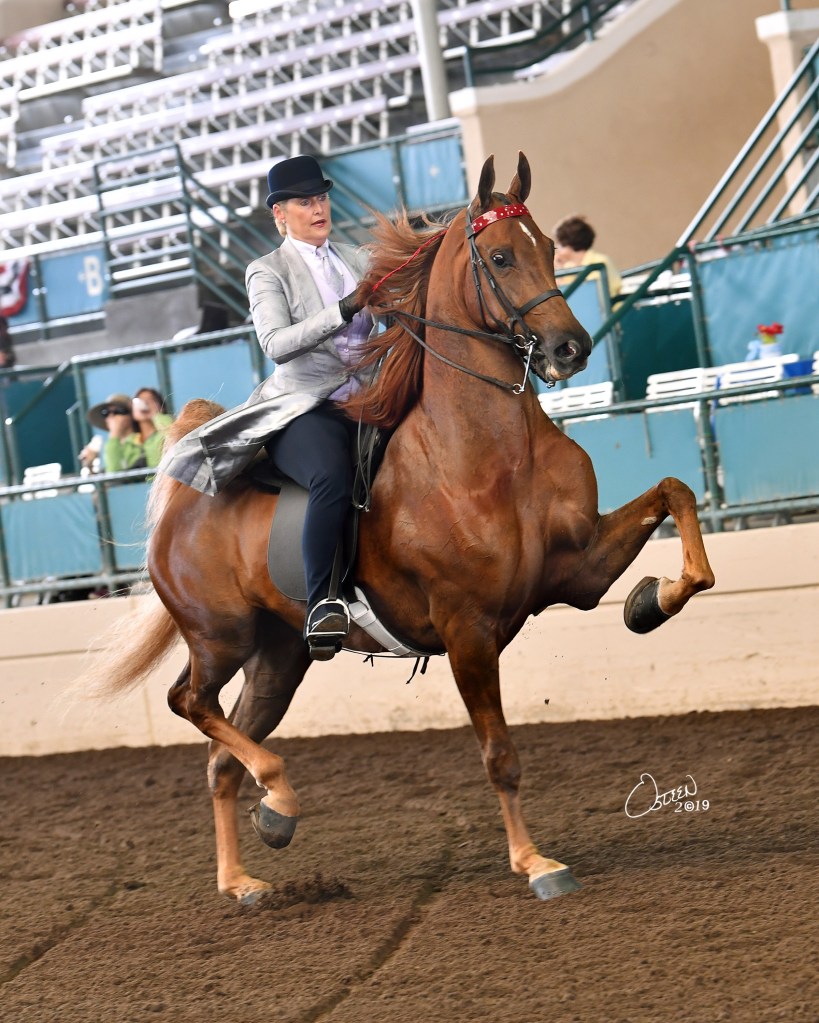 Cherry Stables – Cherry Stables specializing in the training and ...