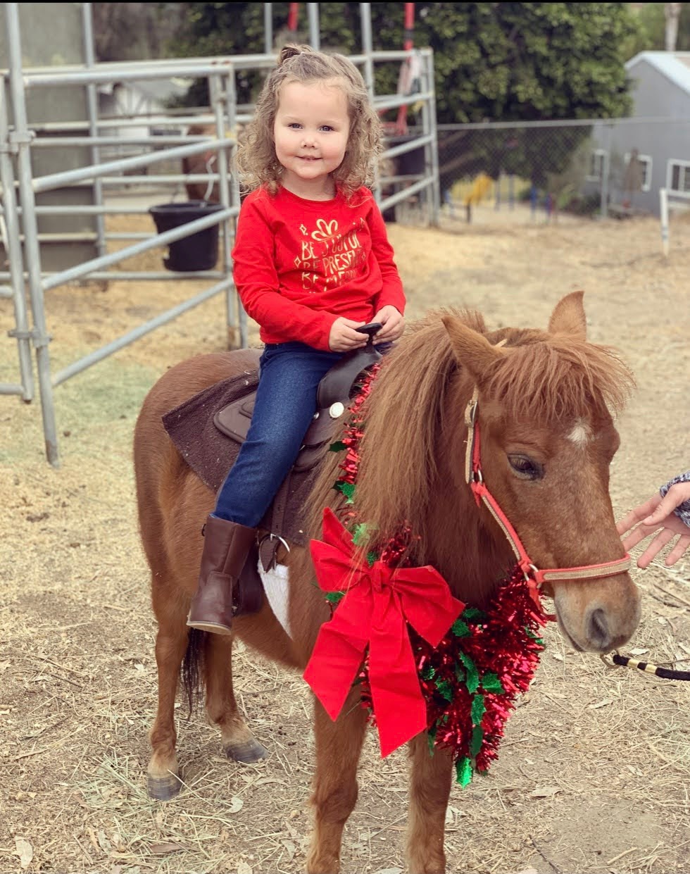 About Us – Cherry Stables