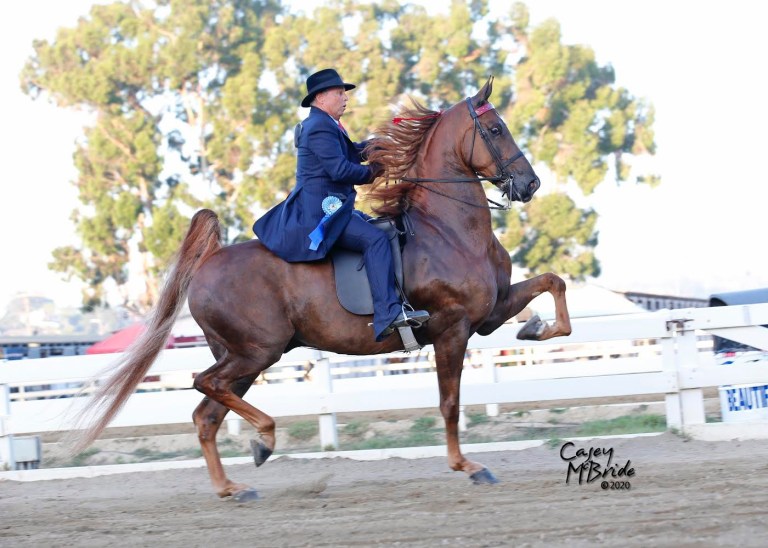 Cherry Stables – Cherry Stables specializing in the training and ...