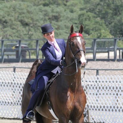 Cherry Stables – Cherry Stables specializing in the training and ...