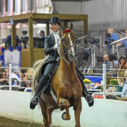 Cherry Stables – Cherry Stables specializing in the training and ...